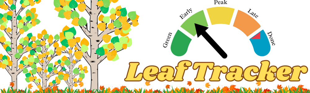 Fall Trips on the Leadville Railroad - Leadville Railroad